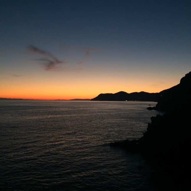 Plague Diary, June 16, 2020 – Tiny Commotions