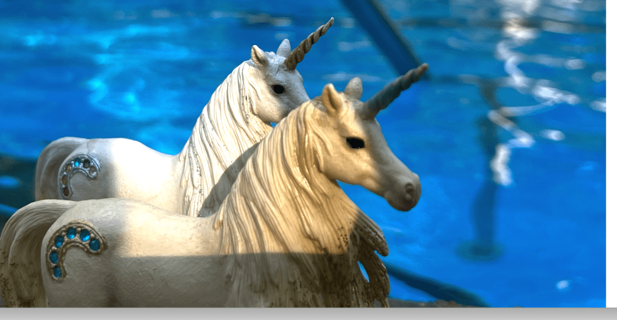 Horny – Tiny Commotions